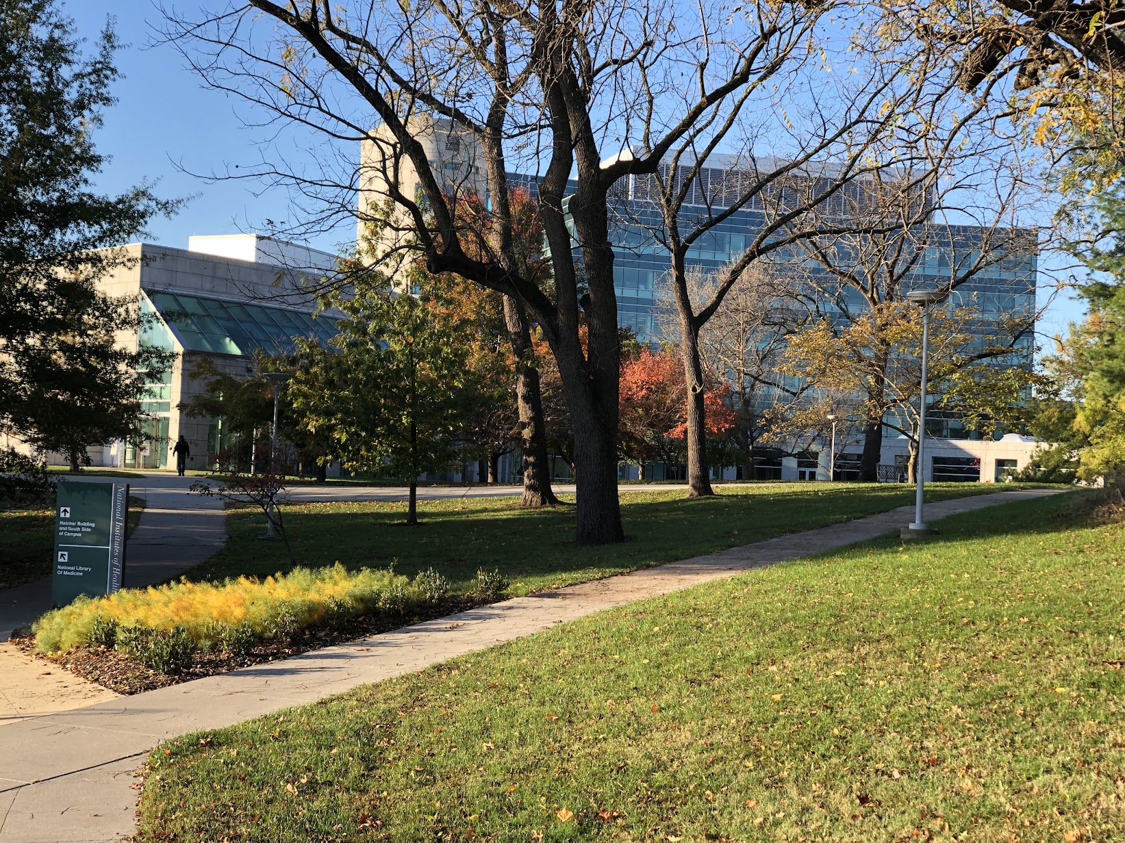 Ichor Presents at NIA Geroscience Summit - Ichor Life Sciences