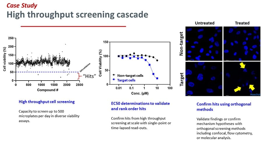 Cell-Based Assays | Ichor Life Sciences