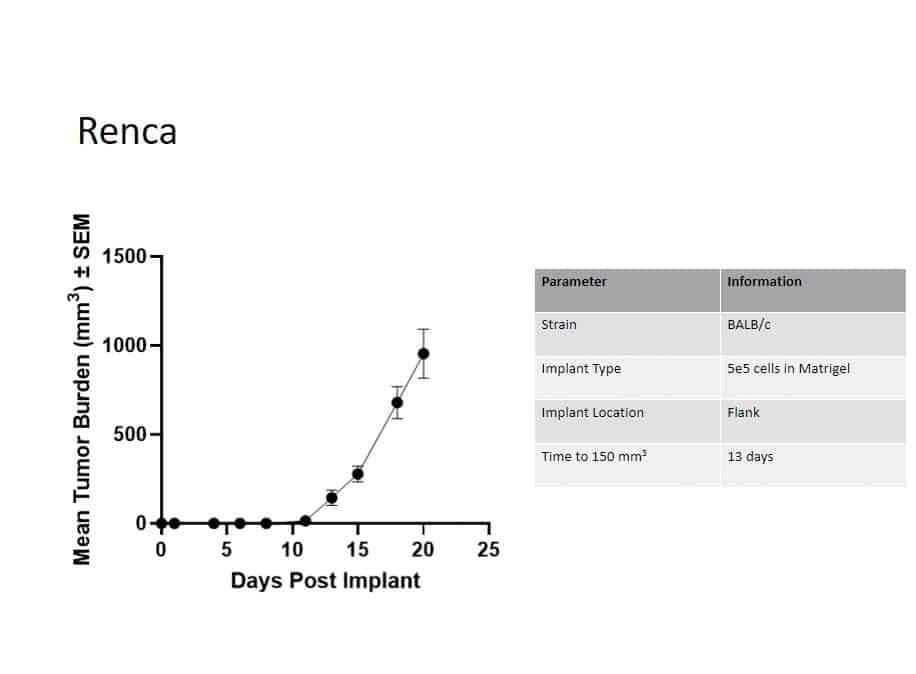 Renca Mouse Model | Ichor Life Sciences