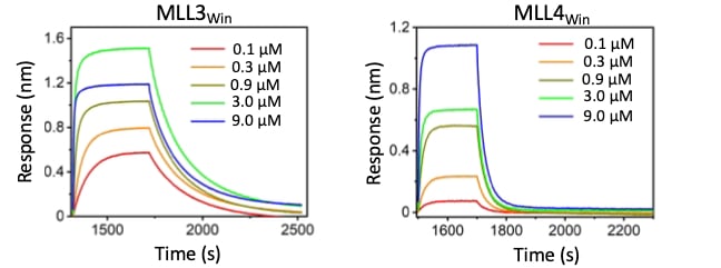 Case Study: Using bio-layer interferometry (BLI) - Ichor Life Sciences