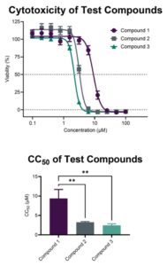 Cell Viability Assays | Ichor Life Sciences