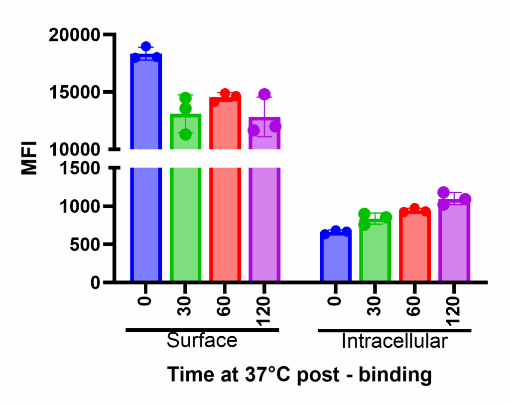 Quantitative Receptor Internalization | Ichor Life Sciences